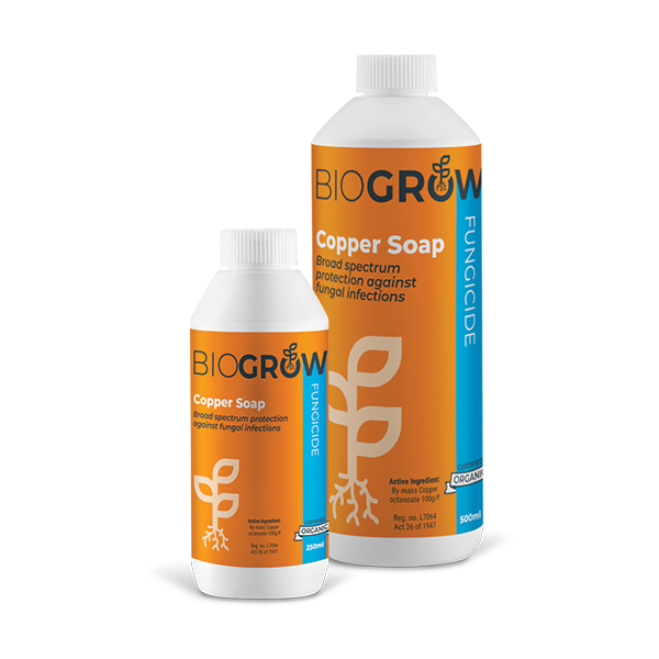 Biogrow Copper Soap, 500ml for Effective Fungal Control - Bonsai Tree ...