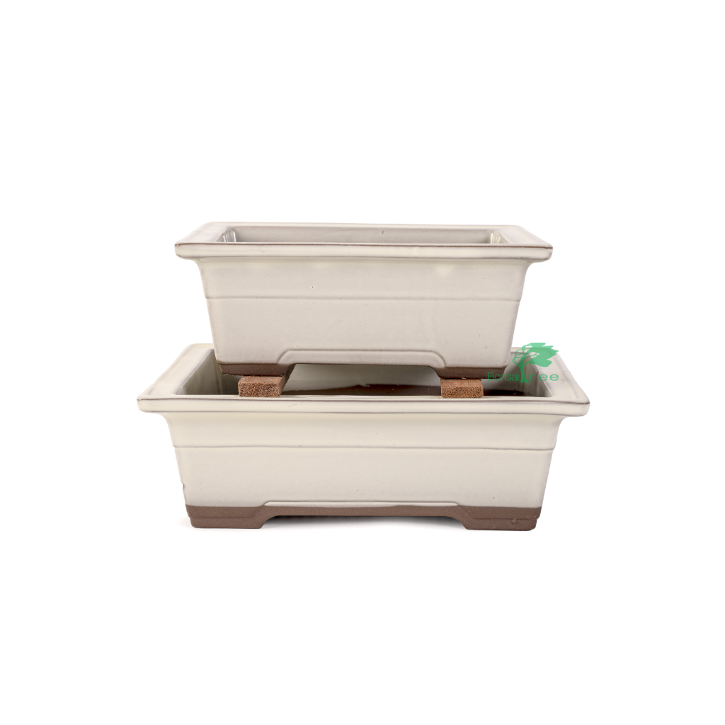 Japanese Shiro Glazed, Rectangular Containers - Bonsai Tree (Pty) Ltd.