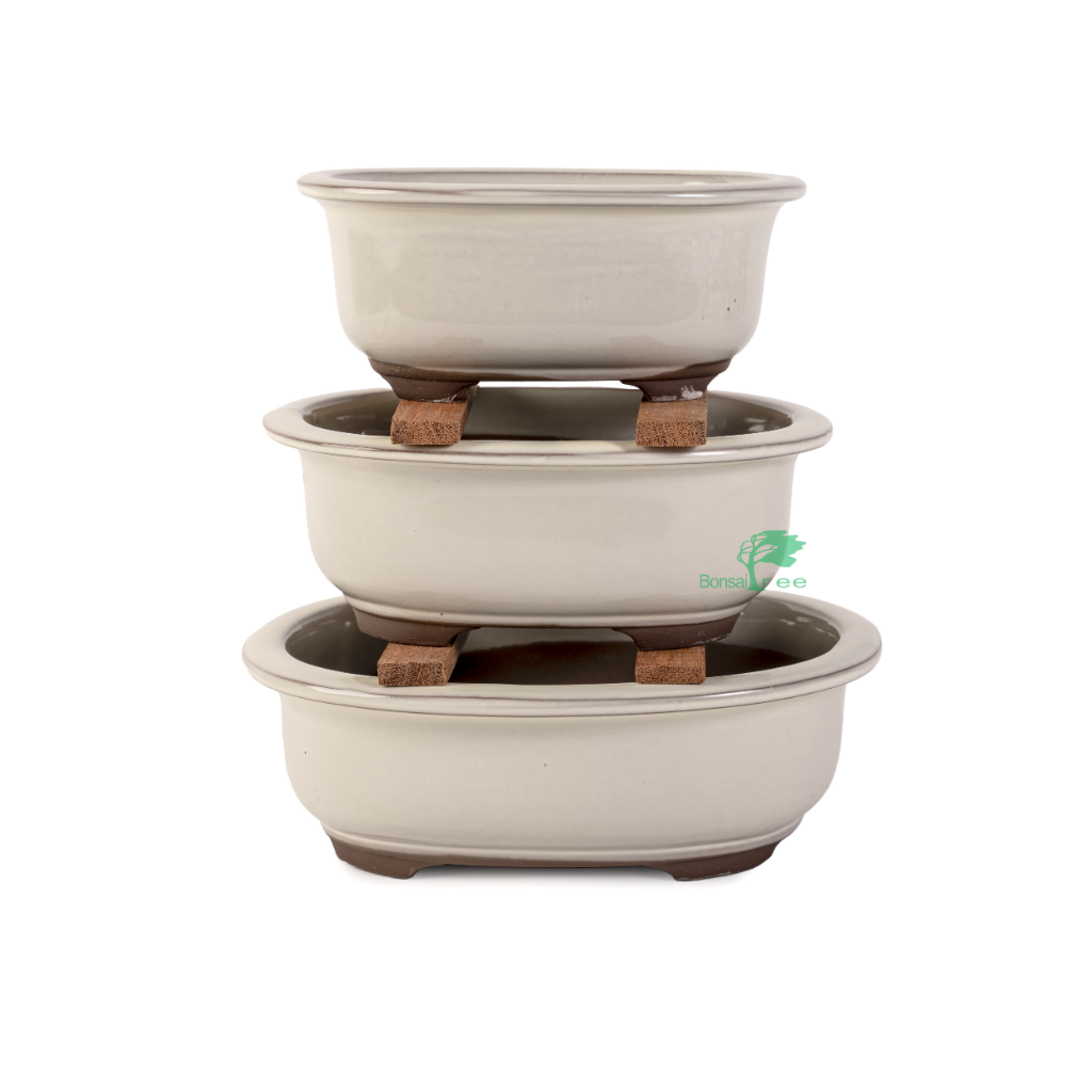 Japanese Shiro glazed Deep, Oval Container - Bonsai Tree (Pty) Ltd.
