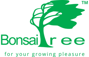 Sporekill: Effective Bactericide and Fungicide Solution - Bonsai Tree ...