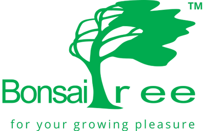 Sporekill: Effective Bactericide and Fungicide Solution - Bonsai Tree ...