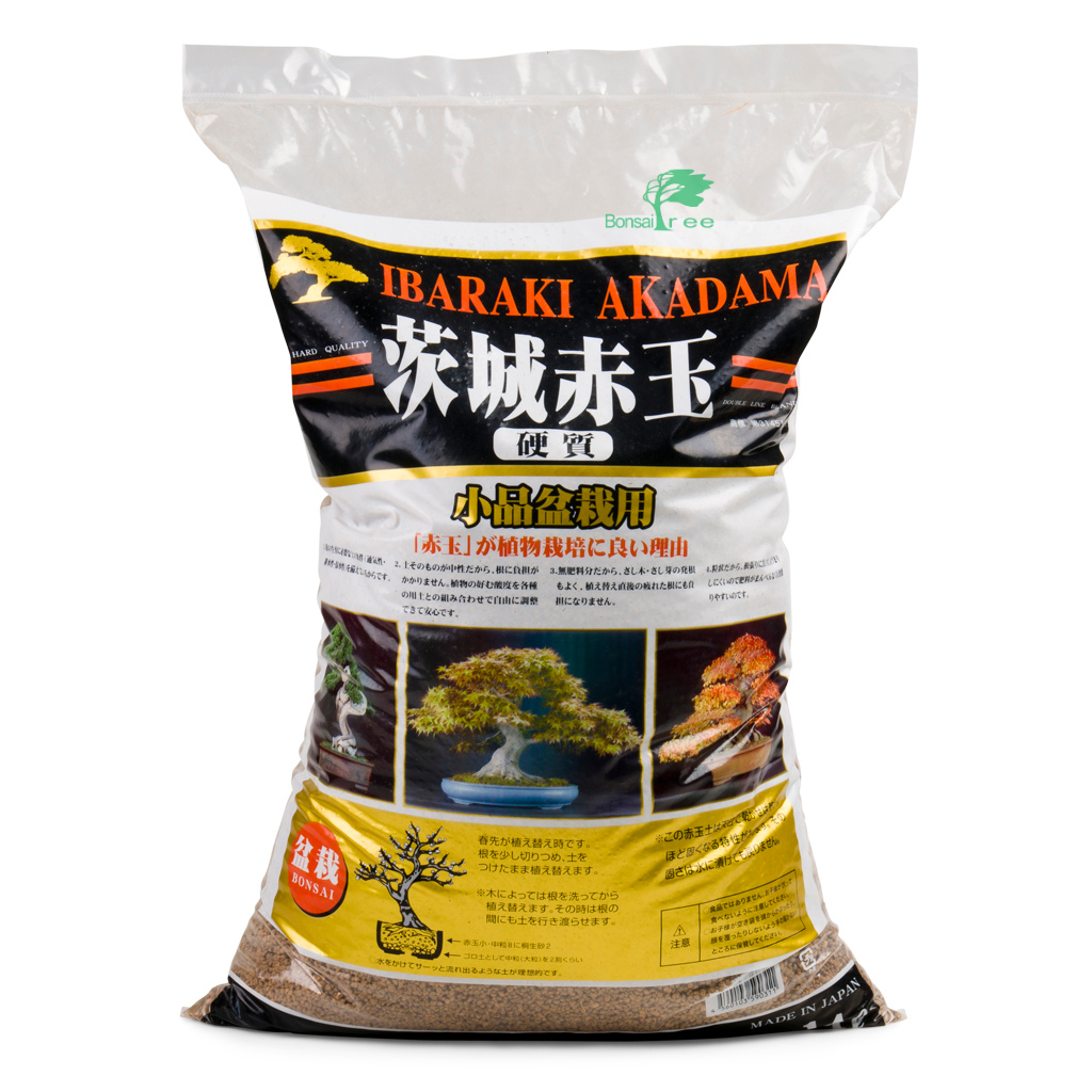 Akadama for Succulent growers produces healthy roots - Bonsai Tree (Pty ...