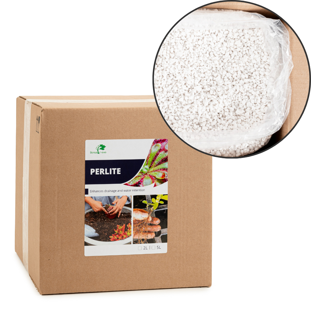 Perlite for Healthy Plants and Superior Soil Health - Bonsai Tree (Pty ...