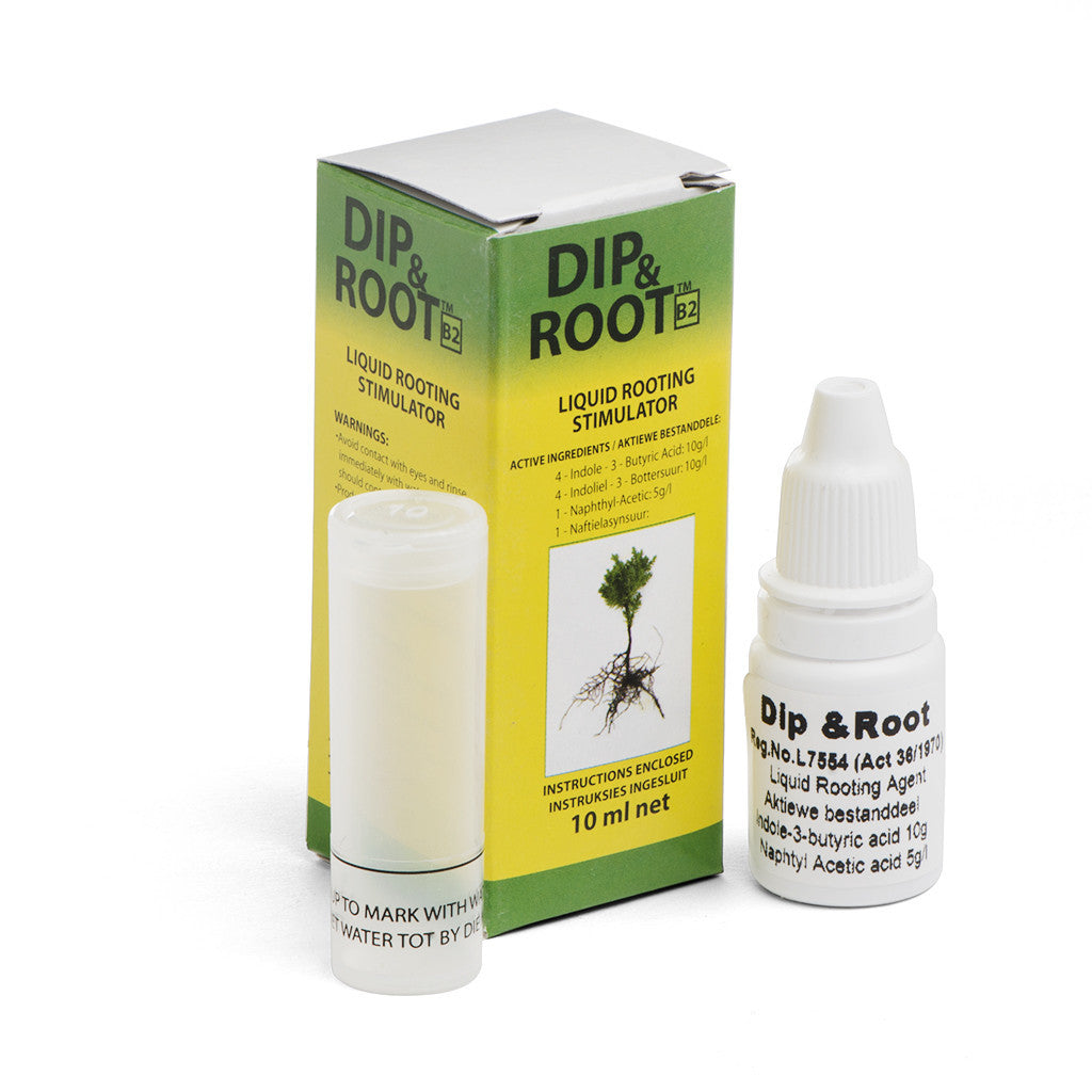 Dip & Root, 10ml - Boost Your Planting Success Today - Bonsai Tree (Pty ...