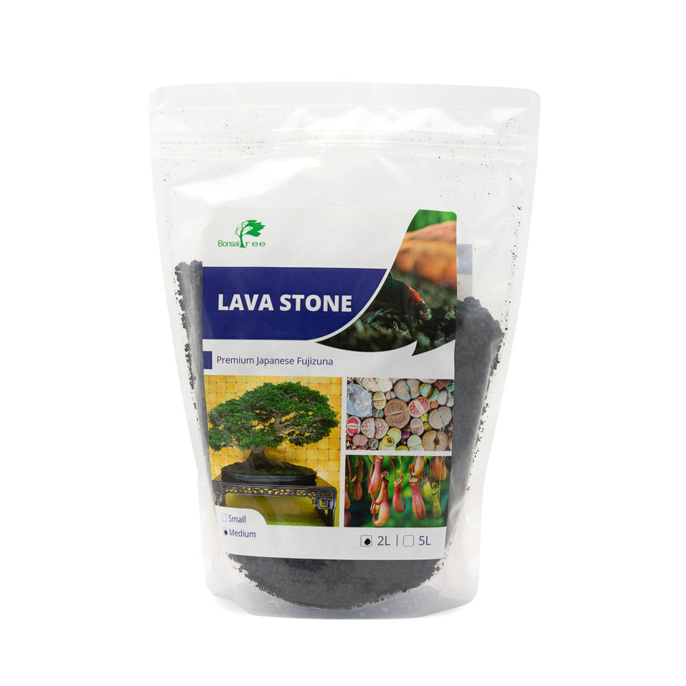 Japanese Lava Stone, Medium, 0-10mm for Gardening Use - Bonsai Tree ...