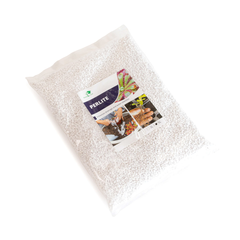 Perlite for Healthy Plants and Superior Soil Health - Bonsai Tree (Pty ...