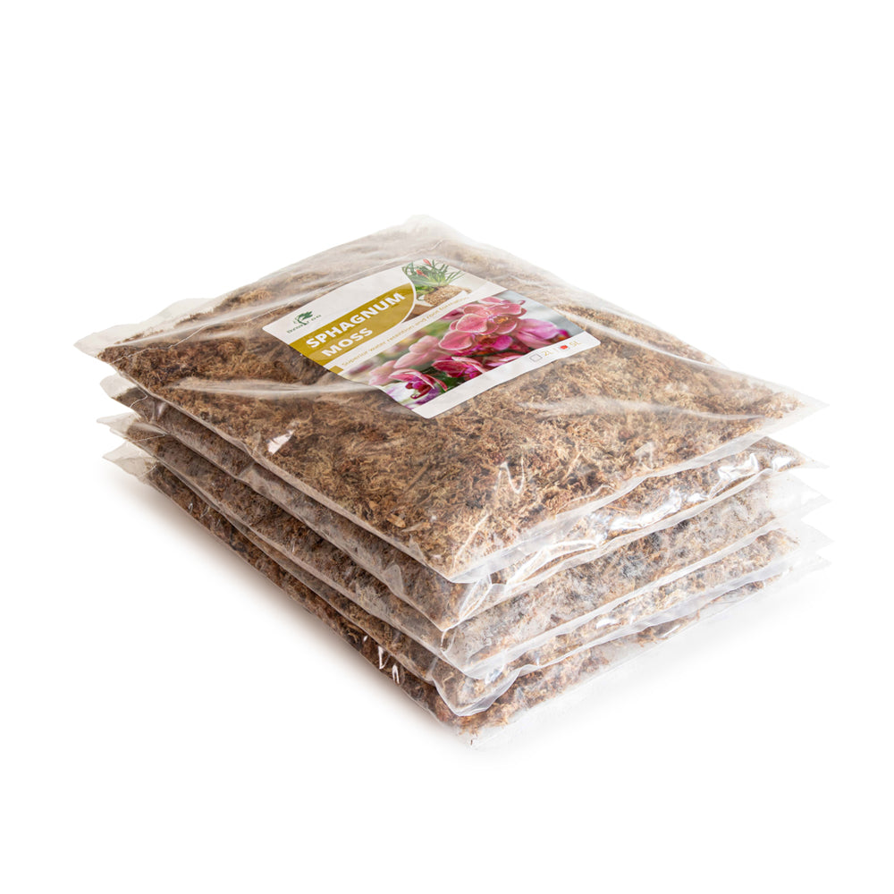 Sphagnum Moss, Rehydrated for Healthy Plant Growth - Bonsai Tree (Pty) Ltd.
